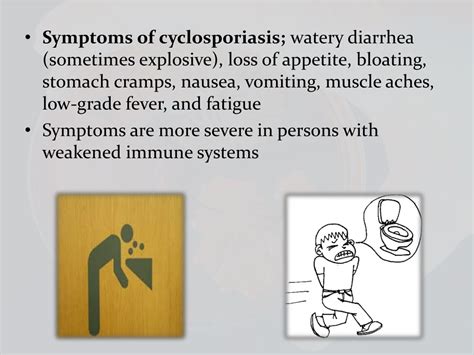 Ppt Food Borne Parasites Toxoplasma Cryptosporidium And More