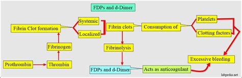 Fibrinogen Degradation Products FDPs Fibrin Split Products