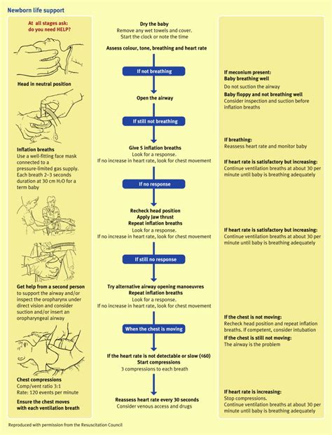 Resuscitation Of The Newborn Anaesthesia And Intensive Care Medicine