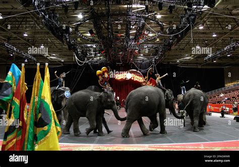 Elephants Circus The Ring During Rehearsals For Ringling Bros And