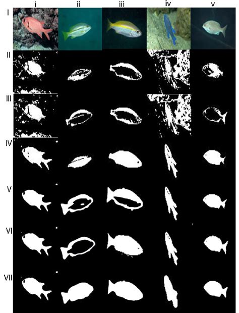 Comparison Of Results With Other Unsupervised Approaches For Underwater Download Scientific