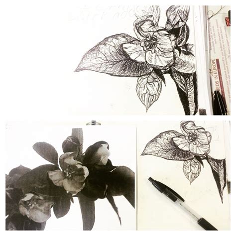 Quick Biro Sketch Sketch Book Sketches Artwork