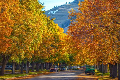 The Colors Of Autumn Come To Life In Missoula Montana