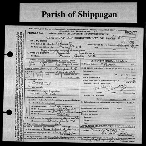 Constance Drisdelle Gauthier 1846 1930 Find A Grave Memorial