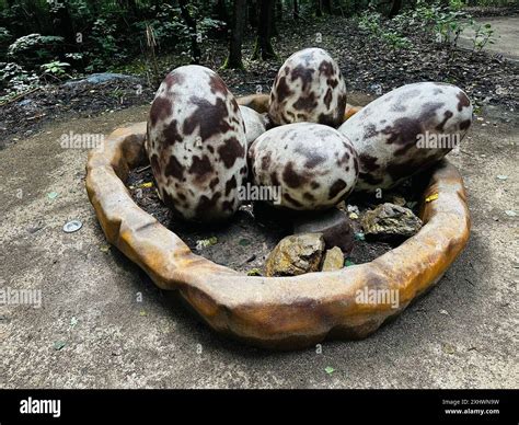 Dinosaur Eggs Realistic Figure Of An Eggs Dinosaur Inforest Park In