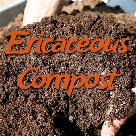 What Makes Ericaceous Compost At Curtis Donahue Blog