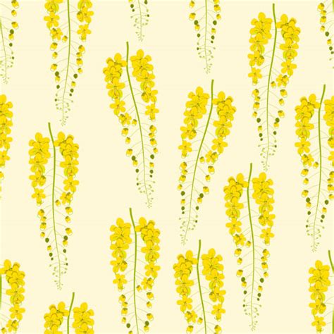 30 Cassis Flower Stock Illustrations Royalty Free Vector Graphics And Clip Art Istock