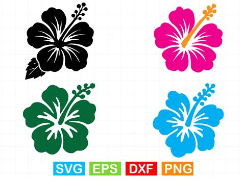 Hawaiian Hibiscus Flower Vector Svg Graphic By Creativity Designer