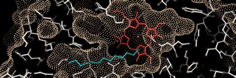 Newly Discovered Enzyme Can Produce Hydrocarbons Precursor Molecules For Producing Jet Fuel And