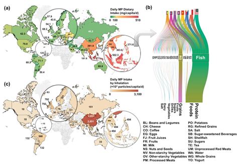 In Graphic Detail Mouthfuls Of Microplastic Hakai Magazine