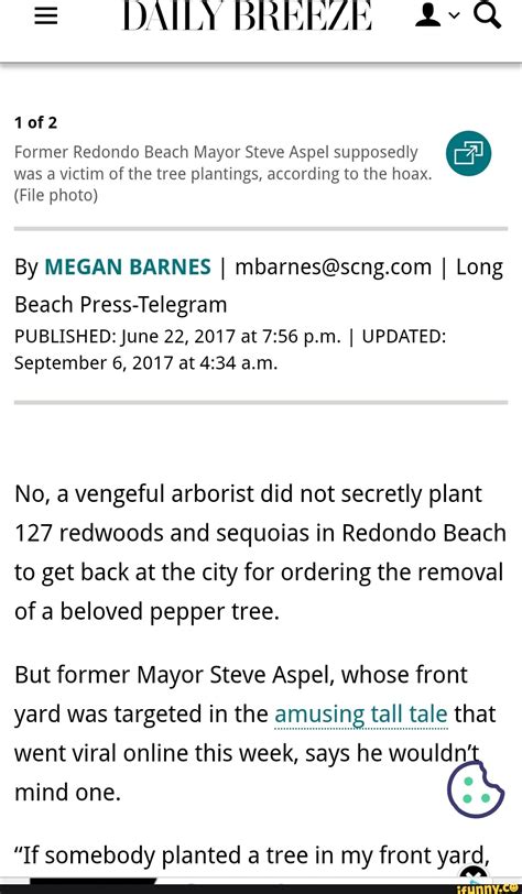 Daily 1 Former Redondo Beach Mayor Steve Aspel Supposedly Was Victim Of The Tree Plantings