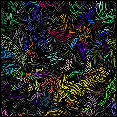 Learning The Complete Dynamical Phase Diagram Of Bacterial Swarming