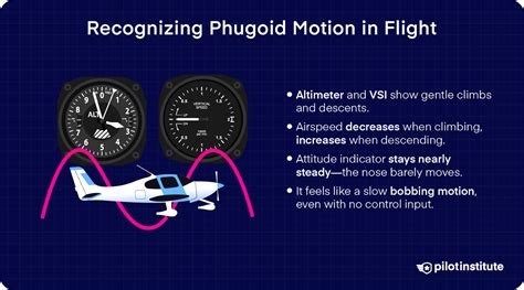 Phugoid Motion In Aviation What It Is And Why It Matters Pilot Institute