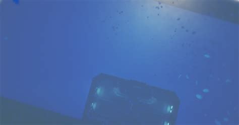 Tiffiny Swimming Indreams Dreams™ Companion Website