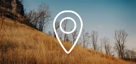 Eudr Geolocation Tackling Global Deforestation App Timber