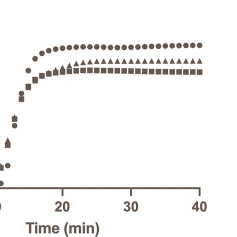 Real Time Quantitative Fluorescent Reverse Transcription Lamp For