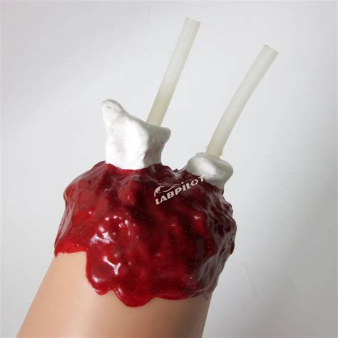 Upper Limbs Amputation And Hemostasis Model Bleeding Practice Simulator