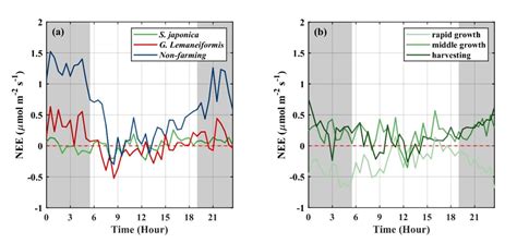 Eddy Covariance Data Reveal Carbon Dioxide Removal Potential Of Macroalgae Aquaculture Solas Int