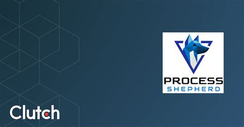 Process Shepherd Services And Company Info