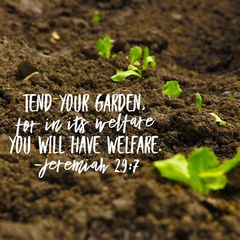 Tending Your Incredible Garden Agents Of Light