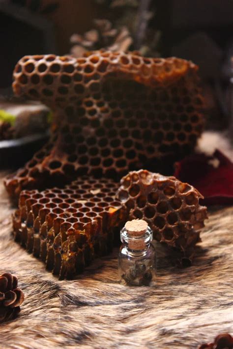 One Freshly 2005 Dried Real Usa Honeybee Natural Honeycomb 15 Free