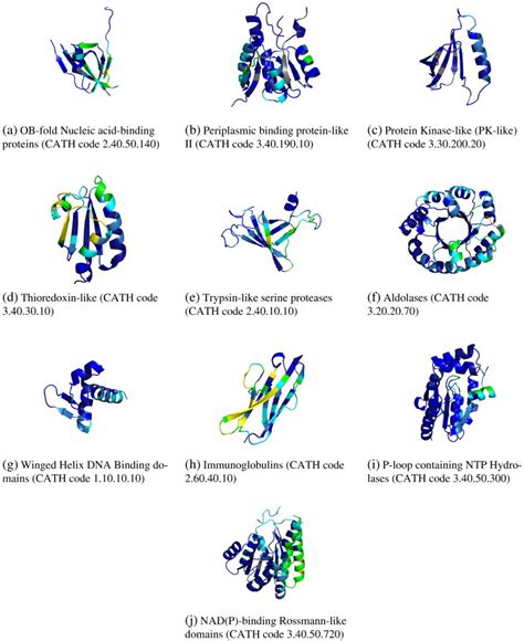 Protein Protein Interface Coverage For 10 Most Populated Superfamilies