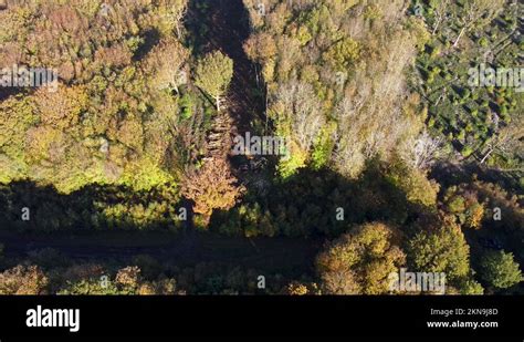 Deforestation England Stock Videos And Footage Hd And 4k Video Clips