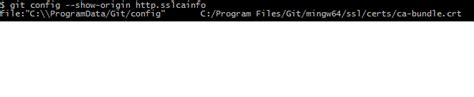 Self Signed Certificate Chain Error Reversion Issue Desktop Desktop GitHub