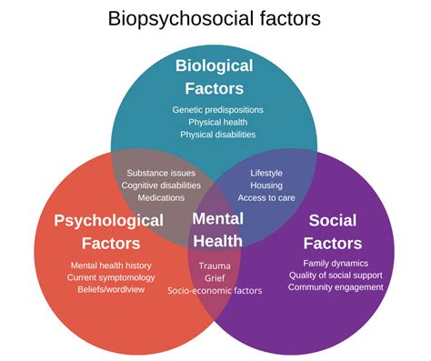 Biopsychosocial Assessment Template Pdf Download Therapists Market