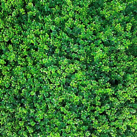 گرین وال مصنوعی مدل جعفری هزاره سبز