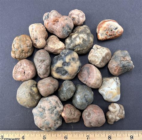 Bubble Gum Agate The Rock Shed