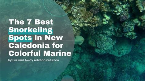 The 7 Best Snorkeling Spots In New Caledonia For Colorful Marine Life