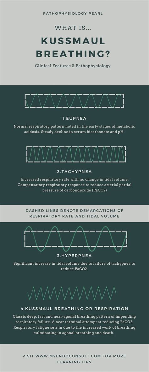 Respiratory Breathing Patterns