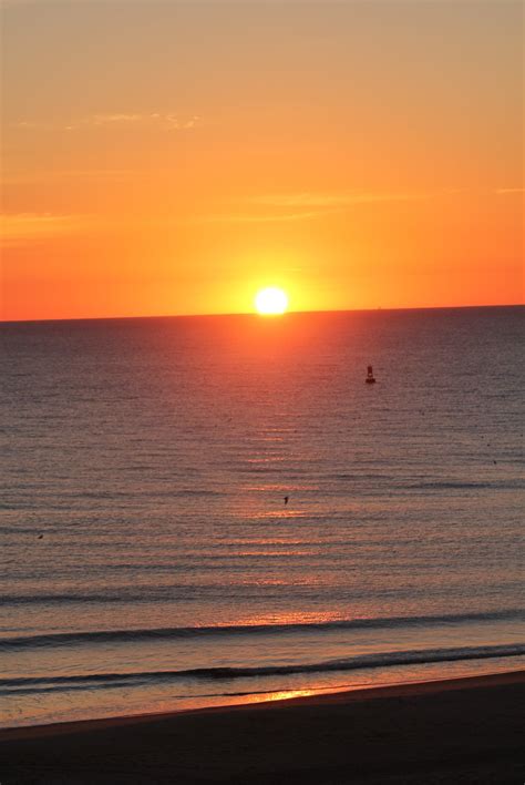 Anthony Trillo Fine Art