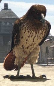 Hawk Rango Disney Versus Non Disney Villains Wiki Fandom