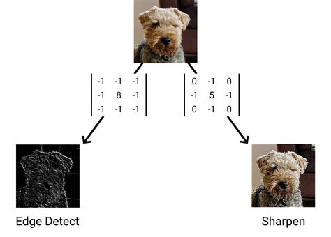 Convolutional Neural Networks