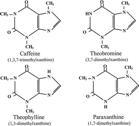 Paraxanthine A Caffeine Metabolite Dose Dependently Increases Ca2 I