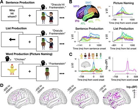 Syntax On The Brain Researchers Map How We Build Sentences Word By Word