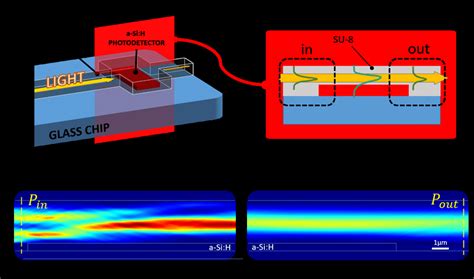 Simulated Optical Coupling Scenario A Longitudinal Section Of The