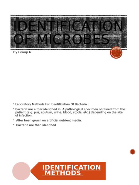 Identification Of Microbes Pdf