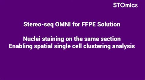 Stereo Seq Omni For Ffpe Solution Stomics