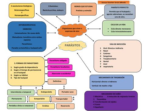 Cuadro Sinoptico De Parasitos Esquemas Y Mapas Conceptuales De
