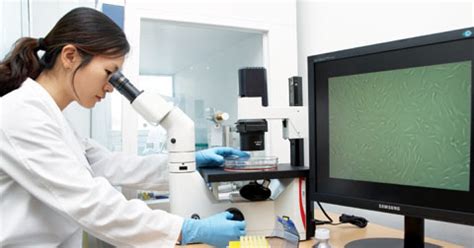 지방 줄기세포 뽑아 닳아 없어진 연골 재생