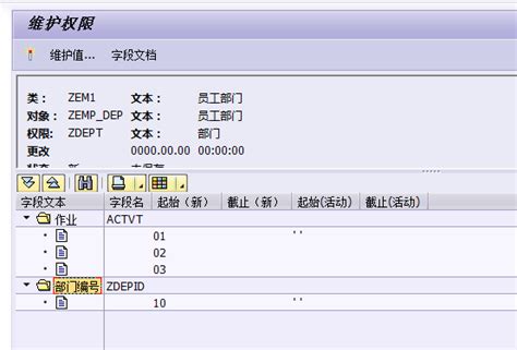 实例：abap权限对象设计与权限检查的实现 abap su21 csdn博客