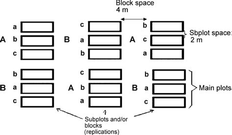 The Subplots Allocated Randomly To Each Main Plot Download