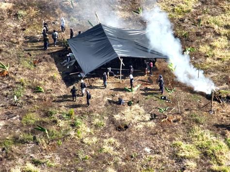 Indígenas Misak Invadieron Tres Fincas Propiedad De Una Multinacional En El Cauca Infobae