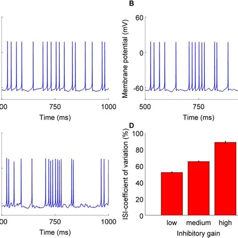 Cn Neurons Firing Pattern In Response To Synaptic Inputs Firing