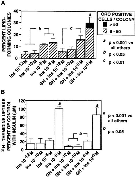 Differentiation A And Proliferation B Of Preputial Sebocytes In