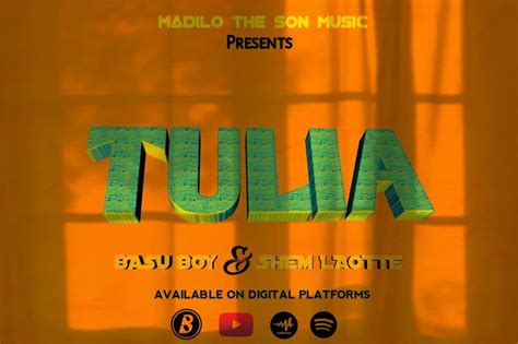 Audio Basu Boy Ft Shem Laotte Tulia Download Dj Mwanga