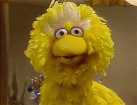 Big Bird  Big Bird Sesame Street Yellow Odkrywaj I Udostępniaj  Y